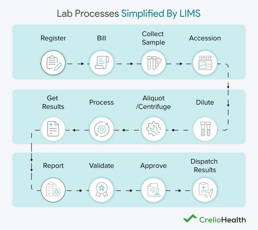 Maximizing Lab Efficiency With LIMS: A Comprehensive Guide